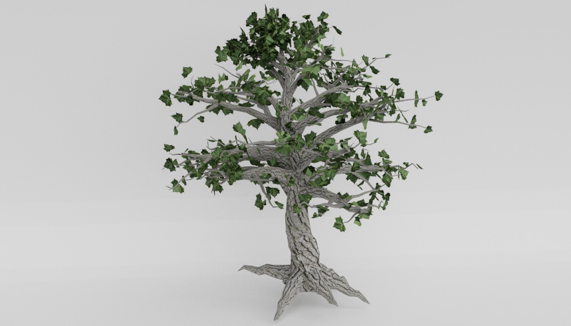 3D Tree Model - TurboSquid 1396339