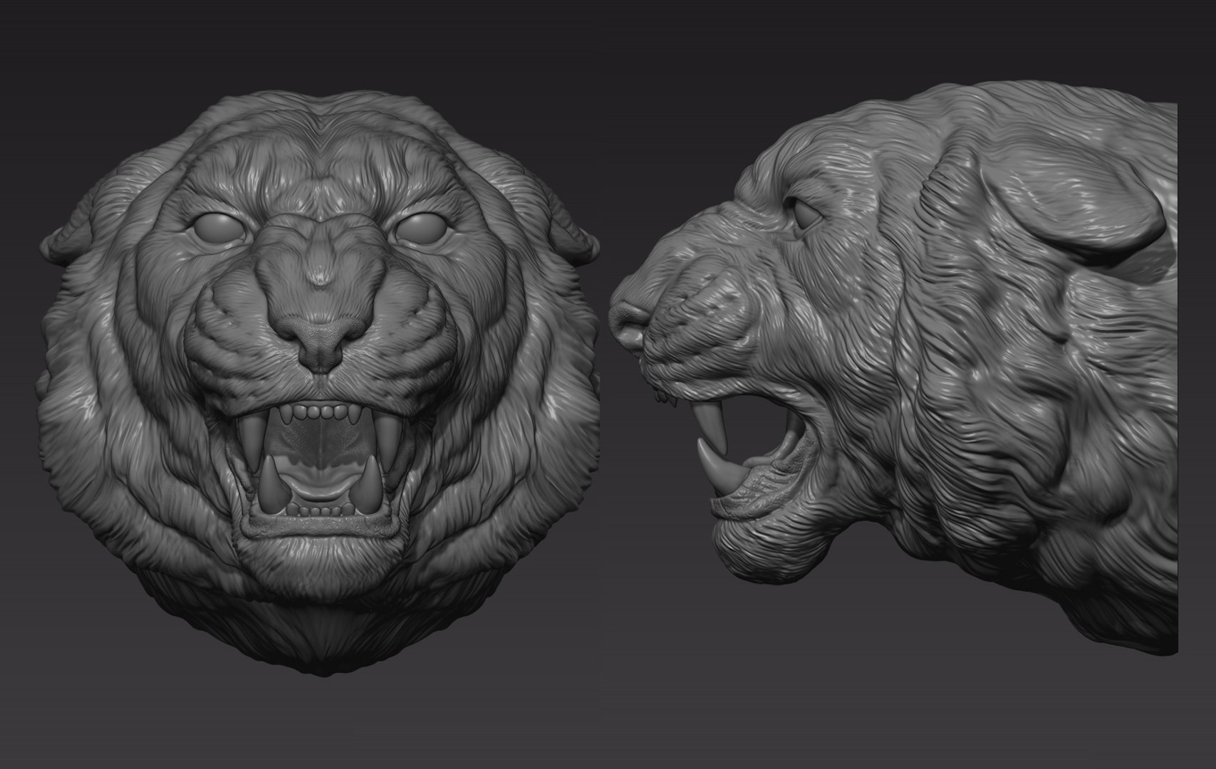 Tiger Head Roar 3D Model - TurboSquid 1858524