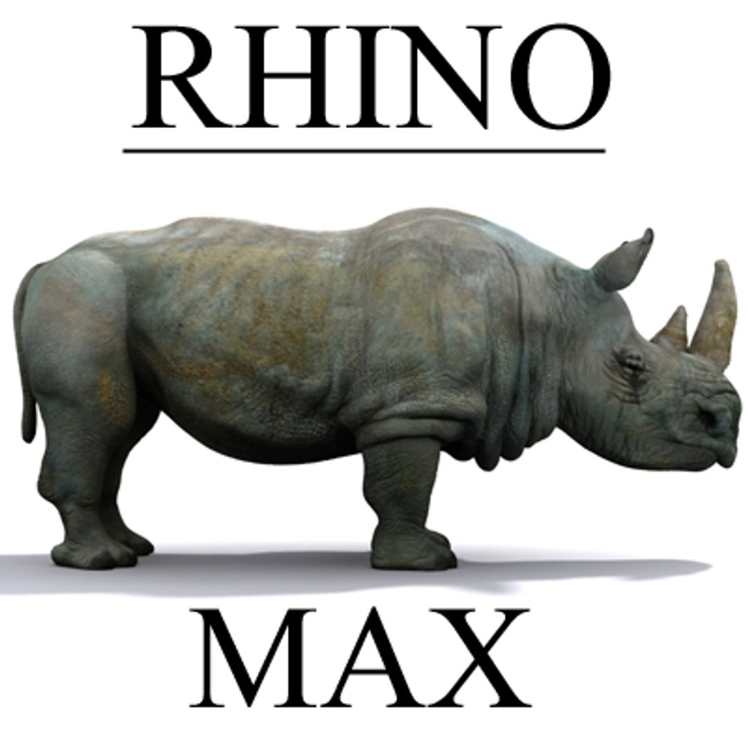 3d Rhinoceros Model