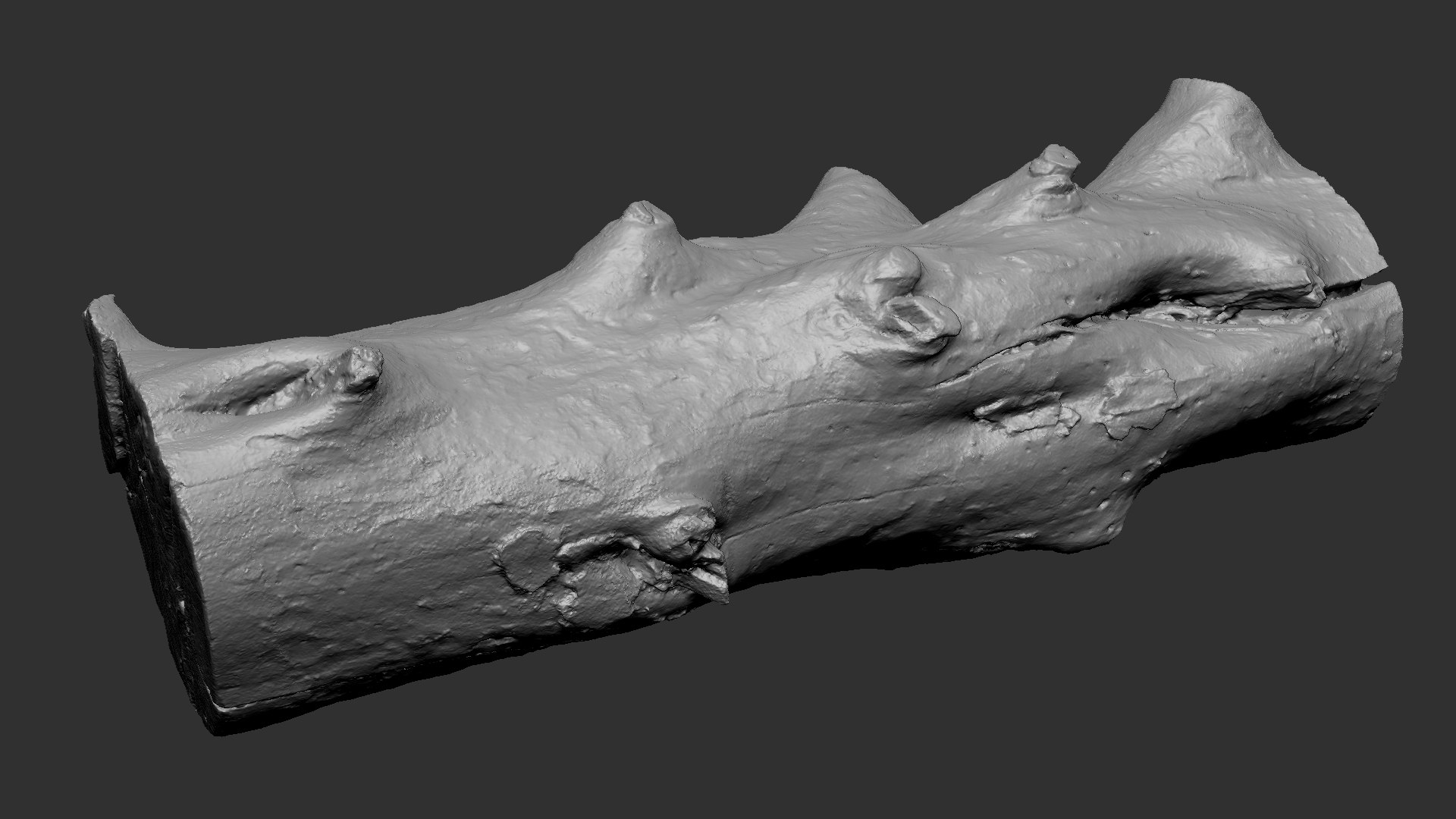 3D Withered Tree Trunk 3d Scan In Highpoly Model - TurboSquid 2202725