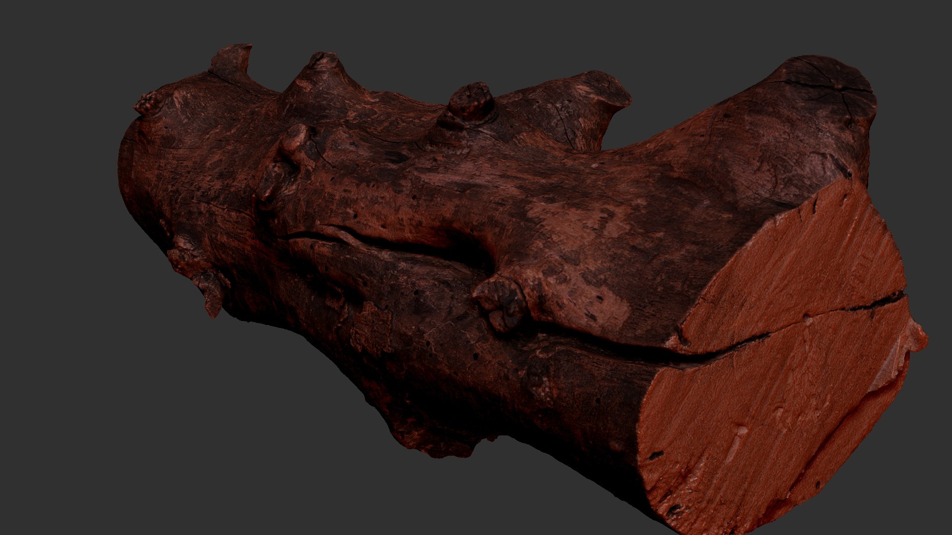 3D Withered Tree Trunk 3d Scan In Highpoly Model - TurboSquid 2202725