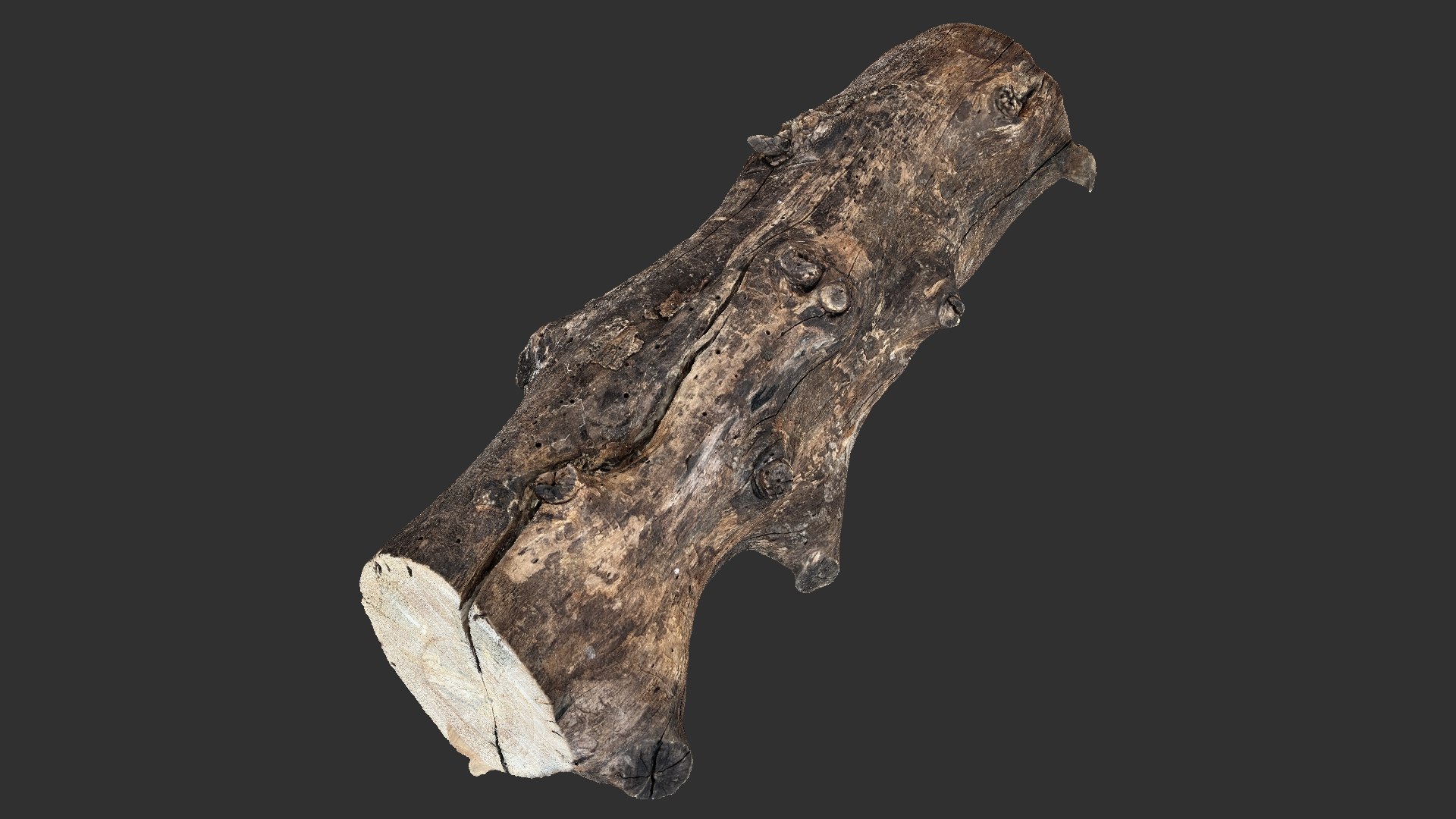 3D Withered Tree Trunk 3d Scan In Highpoly Model - TurboSquid 2202725