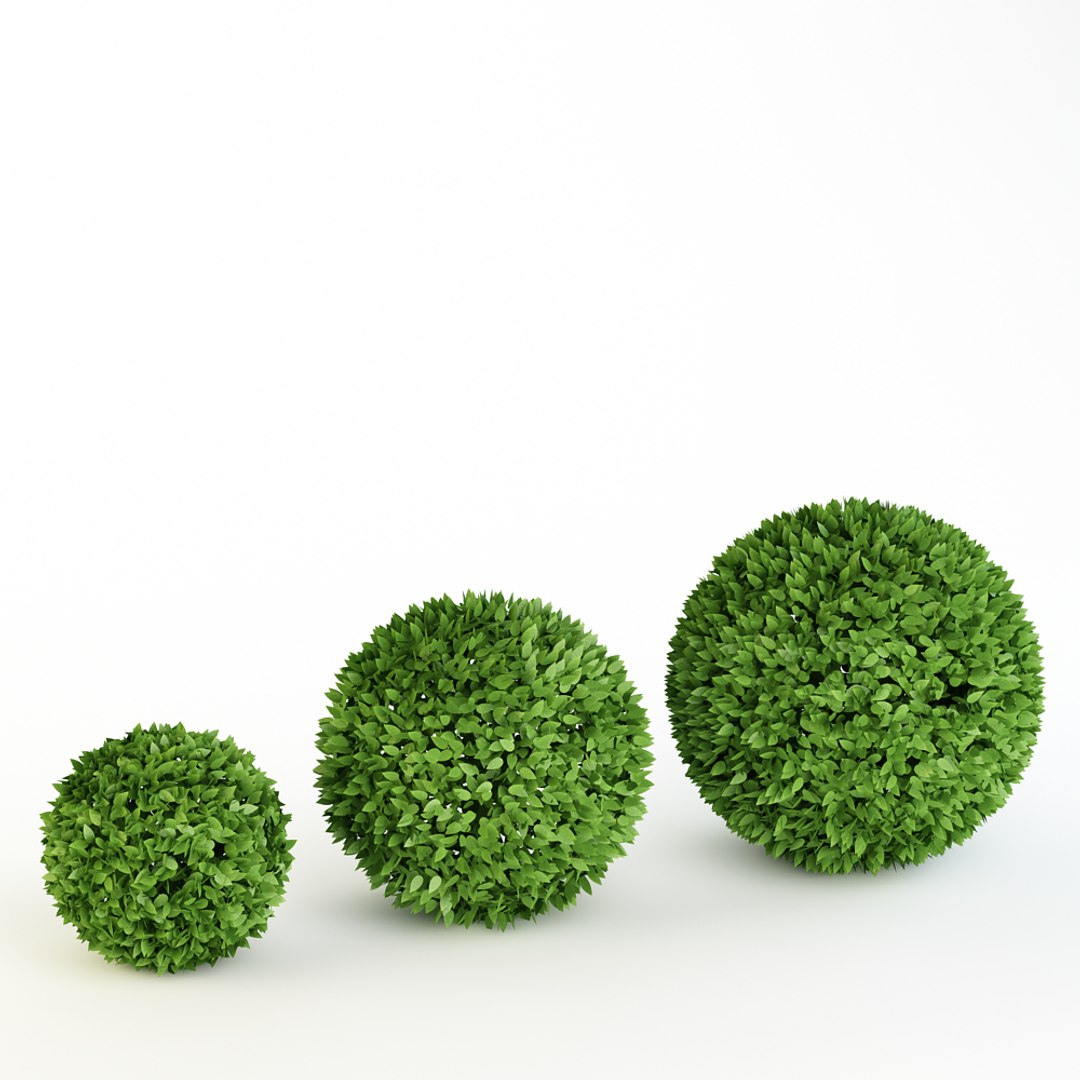 Spherical Bushes 3d Model
