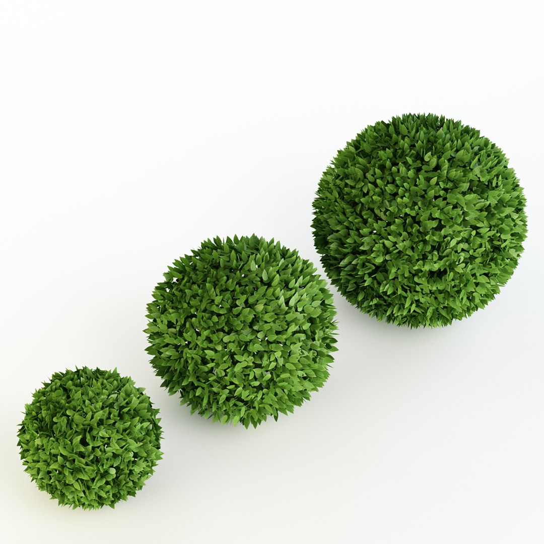 Spherical Bushes 3d Model
