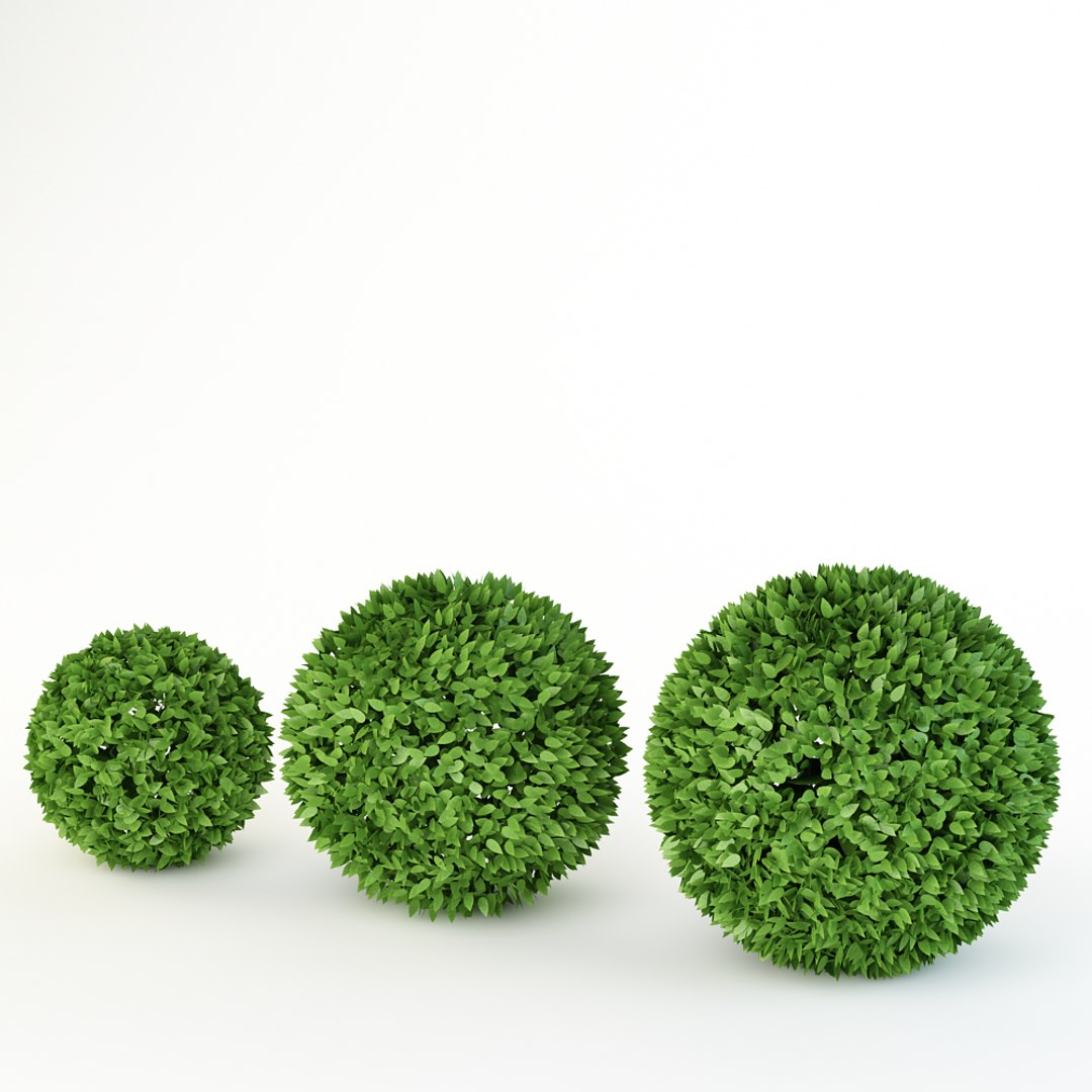 Spherical Bushes 3d Model