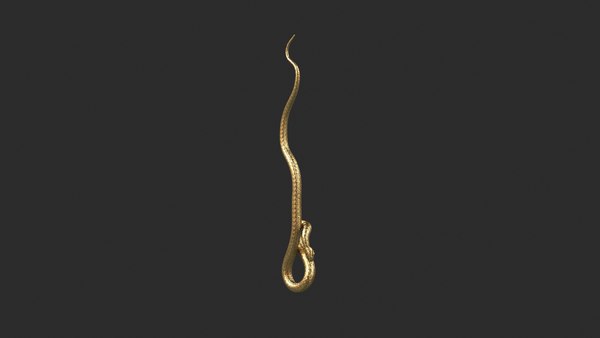 3D Gold-Silver Snake Wall Art model - TurboSquid 1942481