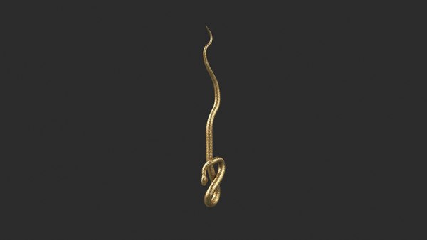 3D Gold-Silver Snake Wall Art model - TurboSquid 1942481