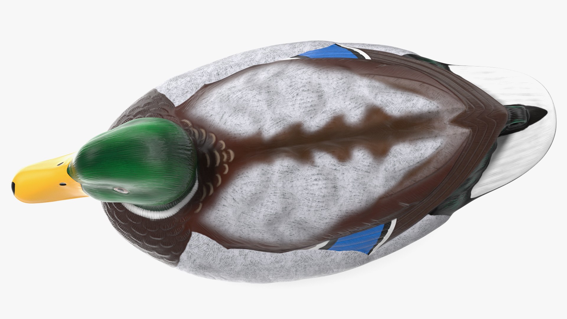 3D model Duck Decoy Drake - TurboSquid 1871876