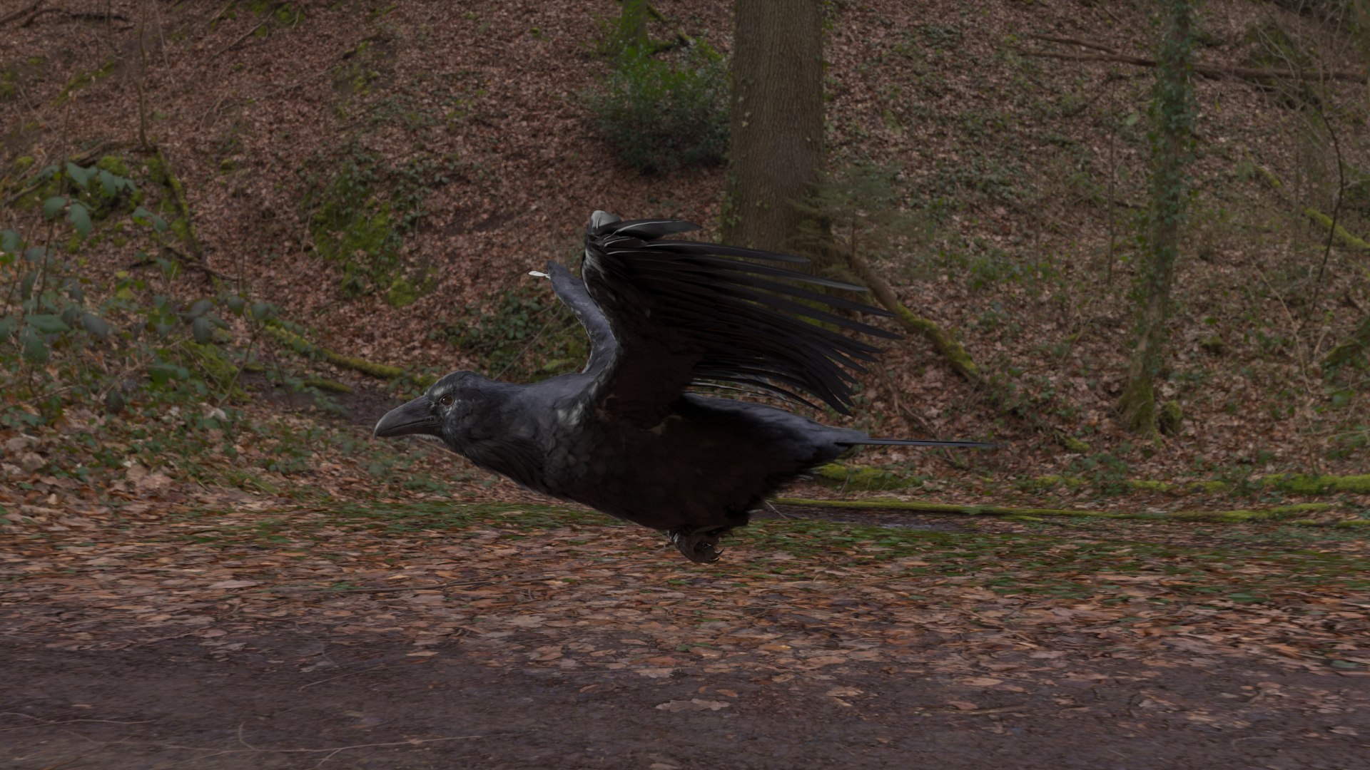 3D Raven Rigged - TurboSquid 1994841