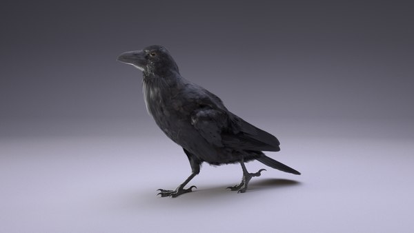 Raven Rigged3Dモデル - TurboSquid 1994841