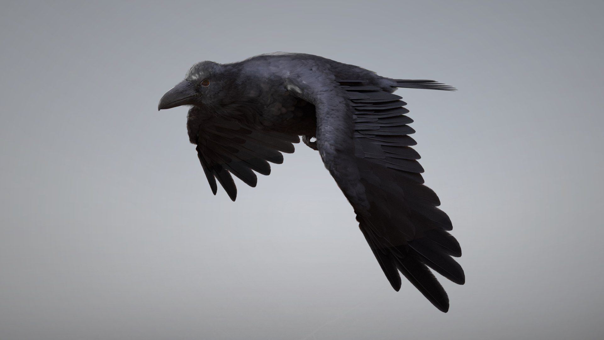 3D Raven Rigged - TurboSquid 1994841