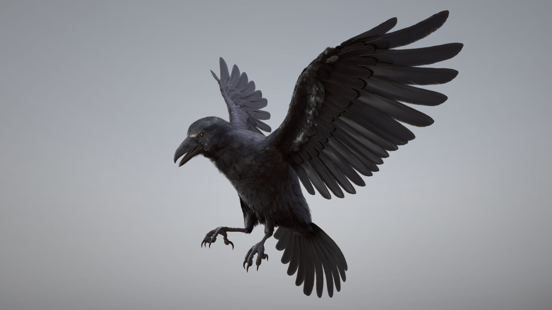 3D Raven Rigged - TurboSquid 1994841