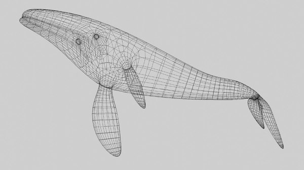 modelo 3d Ballena de cristal gratis - TurboSquid 1564437