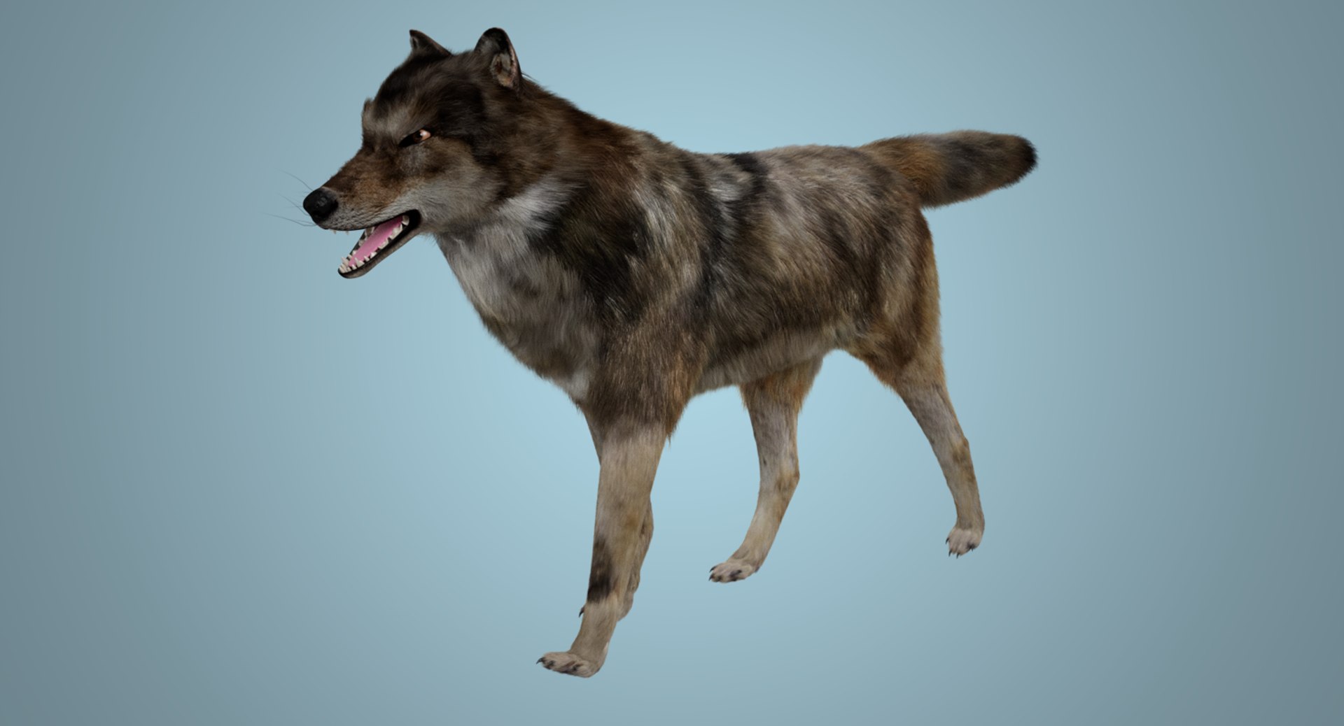 Wolf Rigged Blender 3D Model - TurboSquid 1182246