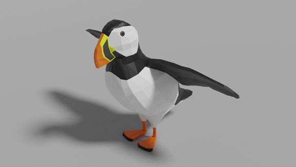 3D Puffin Models | TurboSquid