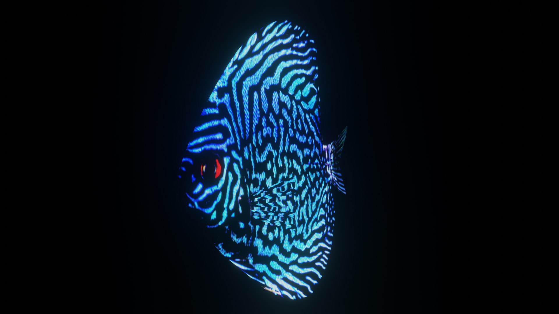 3D Discus Low Poly Model - TurboSquid 2039272