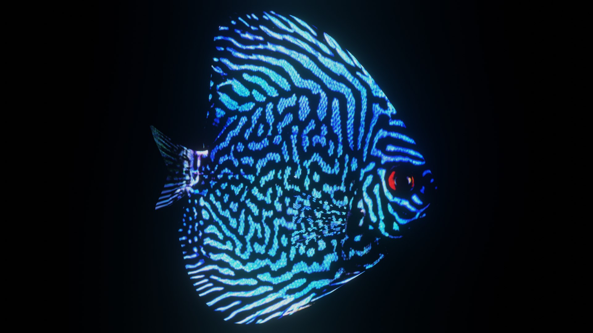 3D Discus Low Poly Model - TurboSquid 2039272