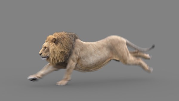 Lion Animated 3D 모델 - TurboSquid 1876643