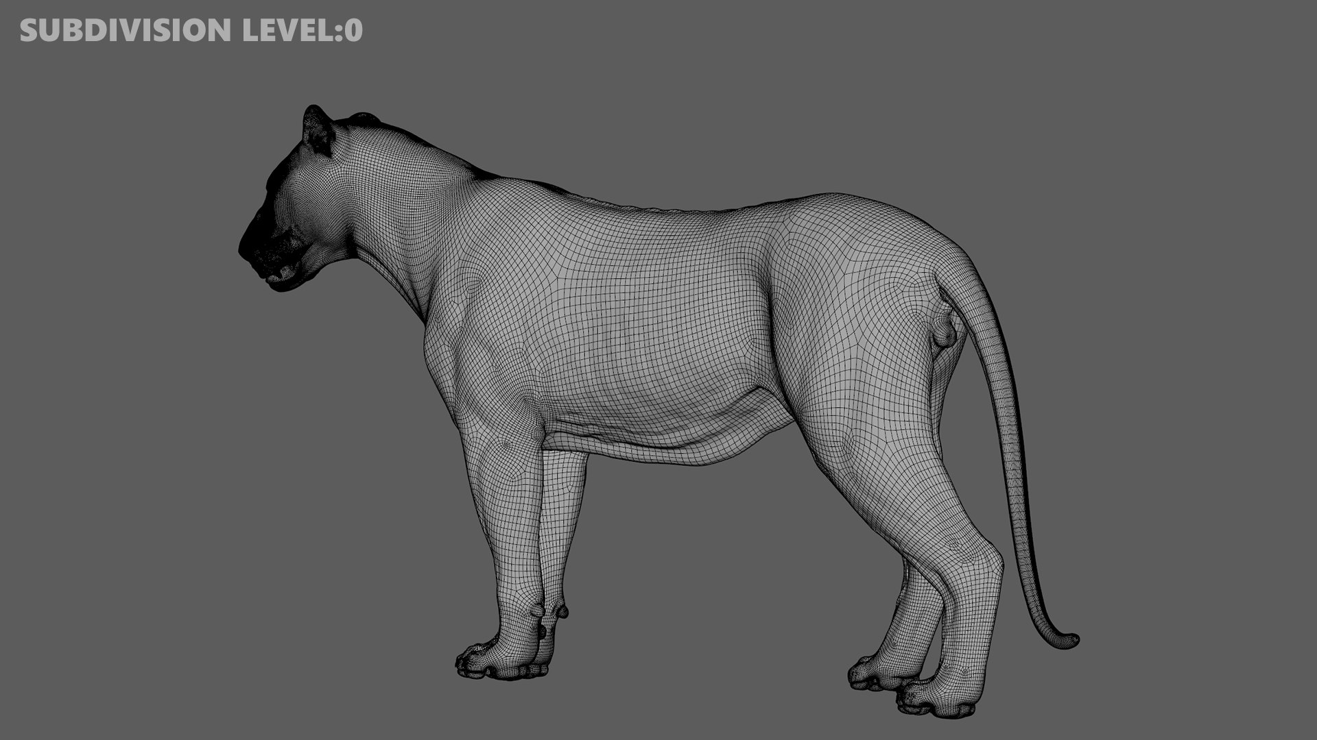 3D Lion Animated model - TurboSquid 1876643