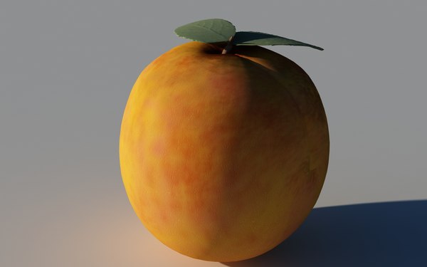 apricot 3d c4d