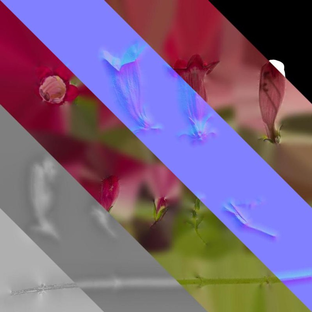 3D Anydrafts Penstemon Barbatus Atlas 01 Textures - TurboSquid 2357640