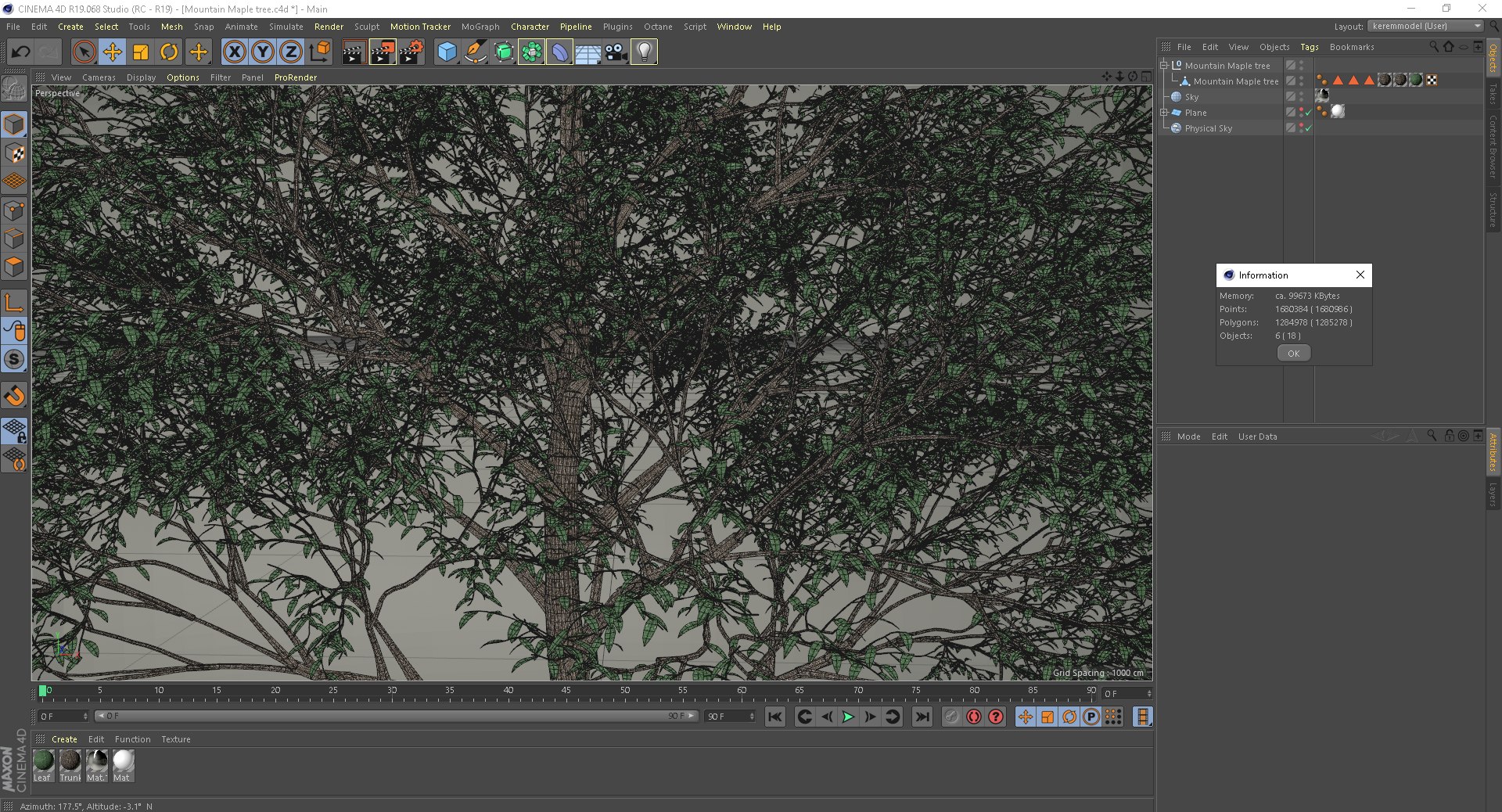 3D Model Mountain Maple Tree - TurboSquid 1397352