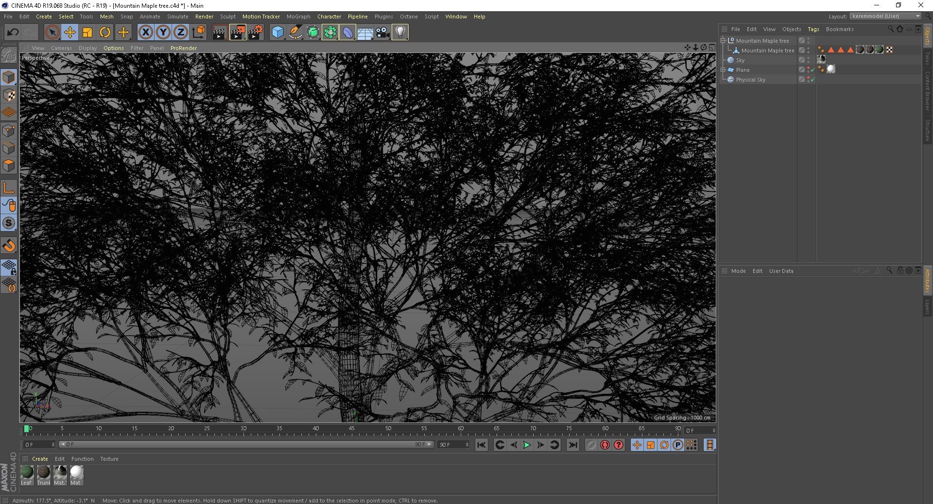 3D Model Mountain Maple Tree - TurboSquid 1397352