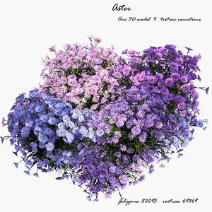 3D Aster Models - Browse & Download Formats - TurboSquid