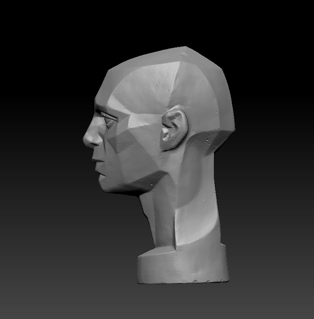 Planes Of The Head 3D Model - TurboSquid 1803185