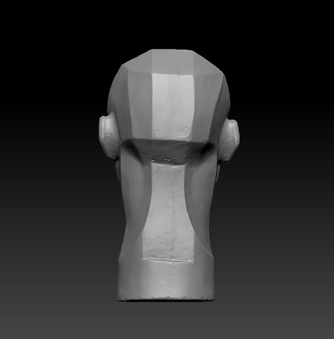 Planes Of The Head 3D Model - TurboSquid 1803185