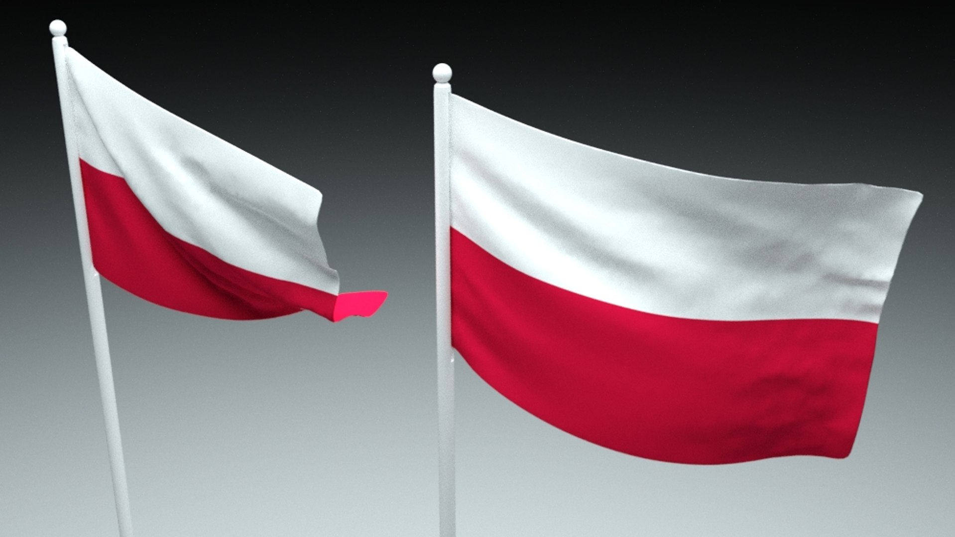 Flag Poland 3D Model - TurboSquid 1594891