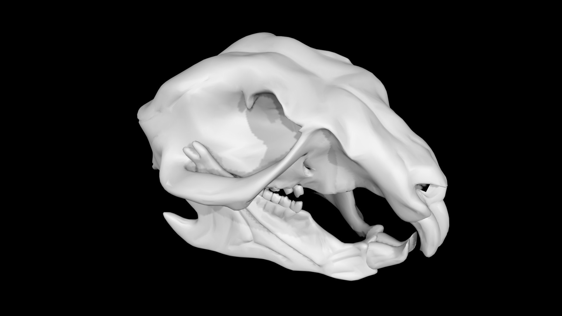 3D Squirrel Skull - TurboSquid 1886473