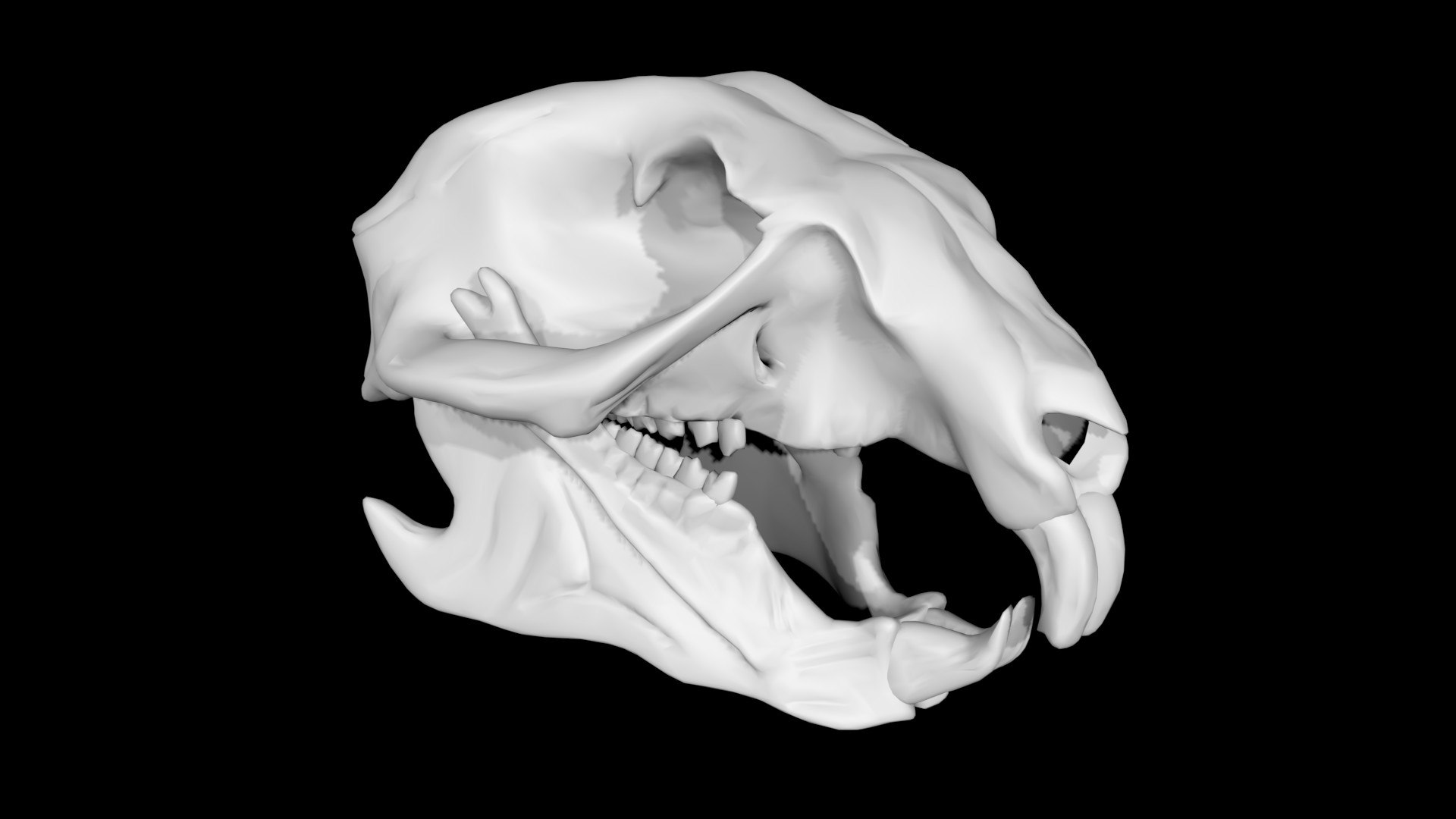 3D Squirrel Skull - TurboSquid 1886473