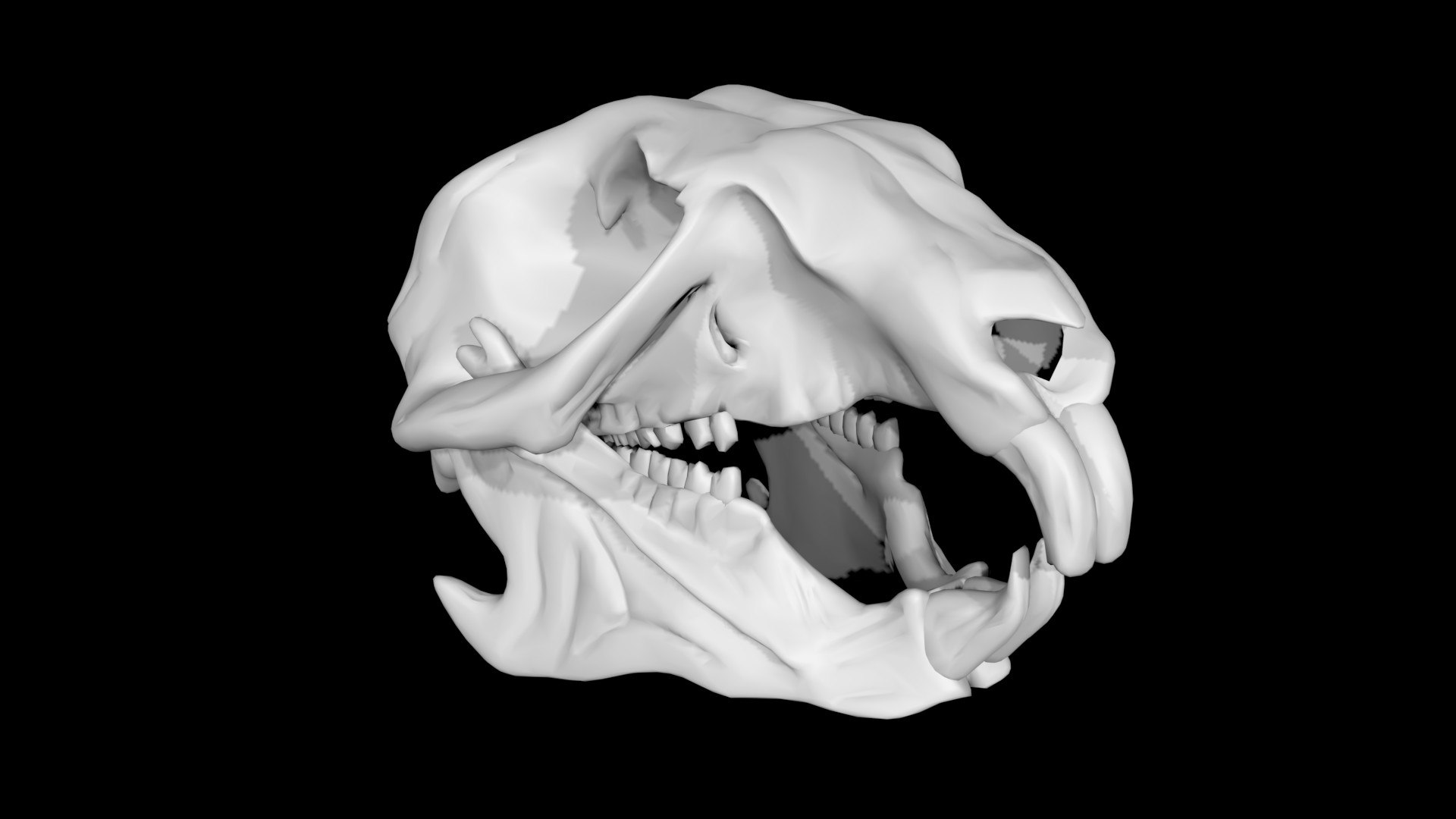 3D Squirrel Skull - TurboSquid 1886473