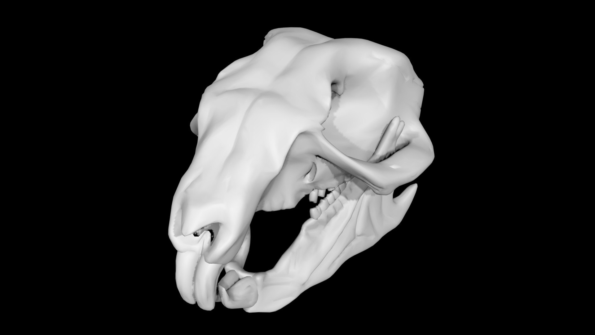 3D Squirrel Skull - TurboSquid 1886473