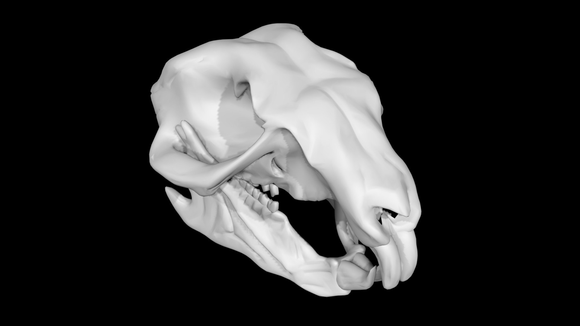 3D Squirrel Skull - TurboSquid 1886473