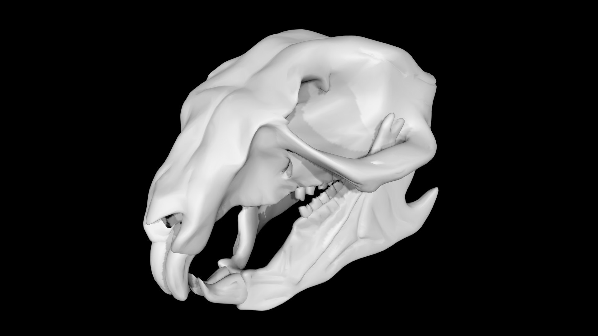 3D Squirrel Skull - TurboSquid 1886473