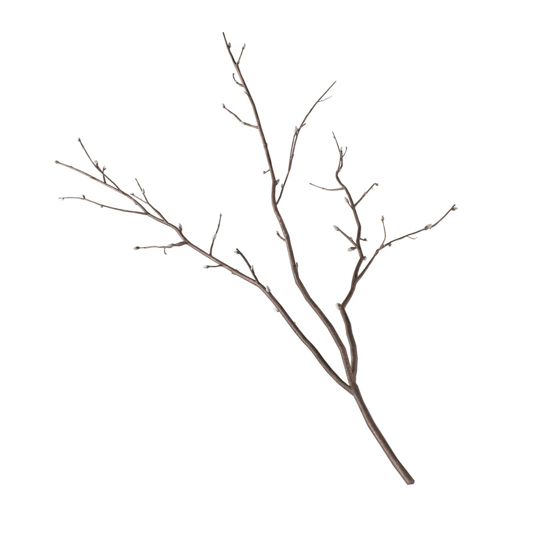 Branch 3 3D Model - TurboSquid 1193403