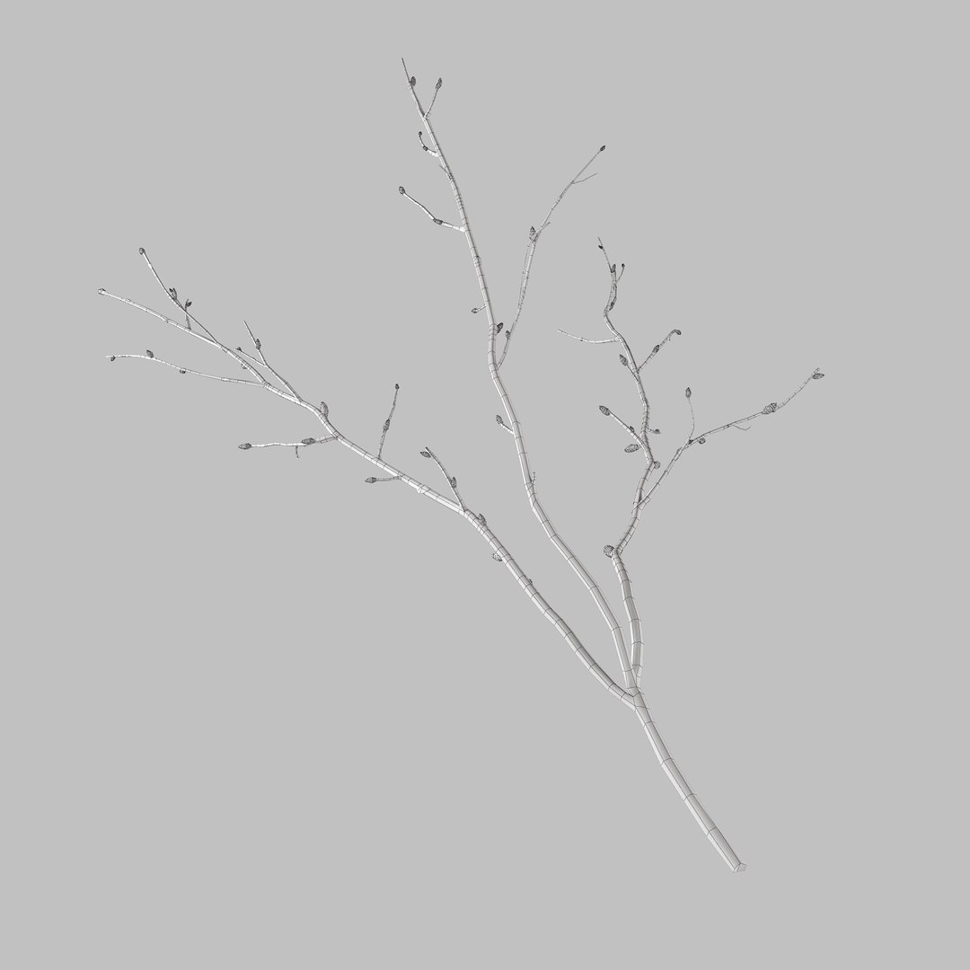 Branch 3 3D Model - TurboSquid 1193403