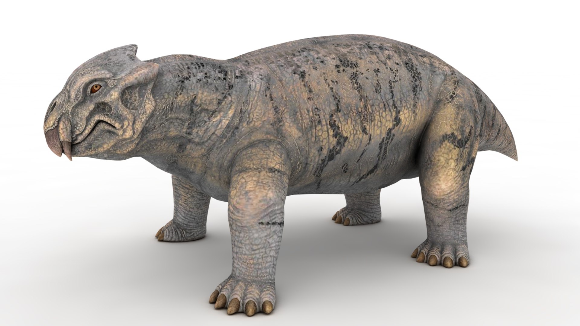 3D Lystrosaurus Model - TurboSquid 2326489