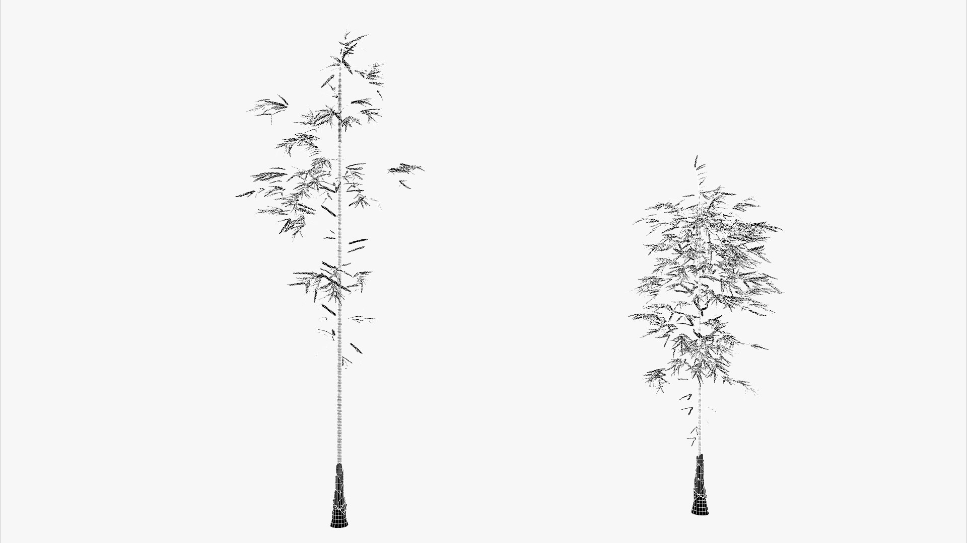 Bamboo Grow Animation 3D Model - TurboSquid 1896526