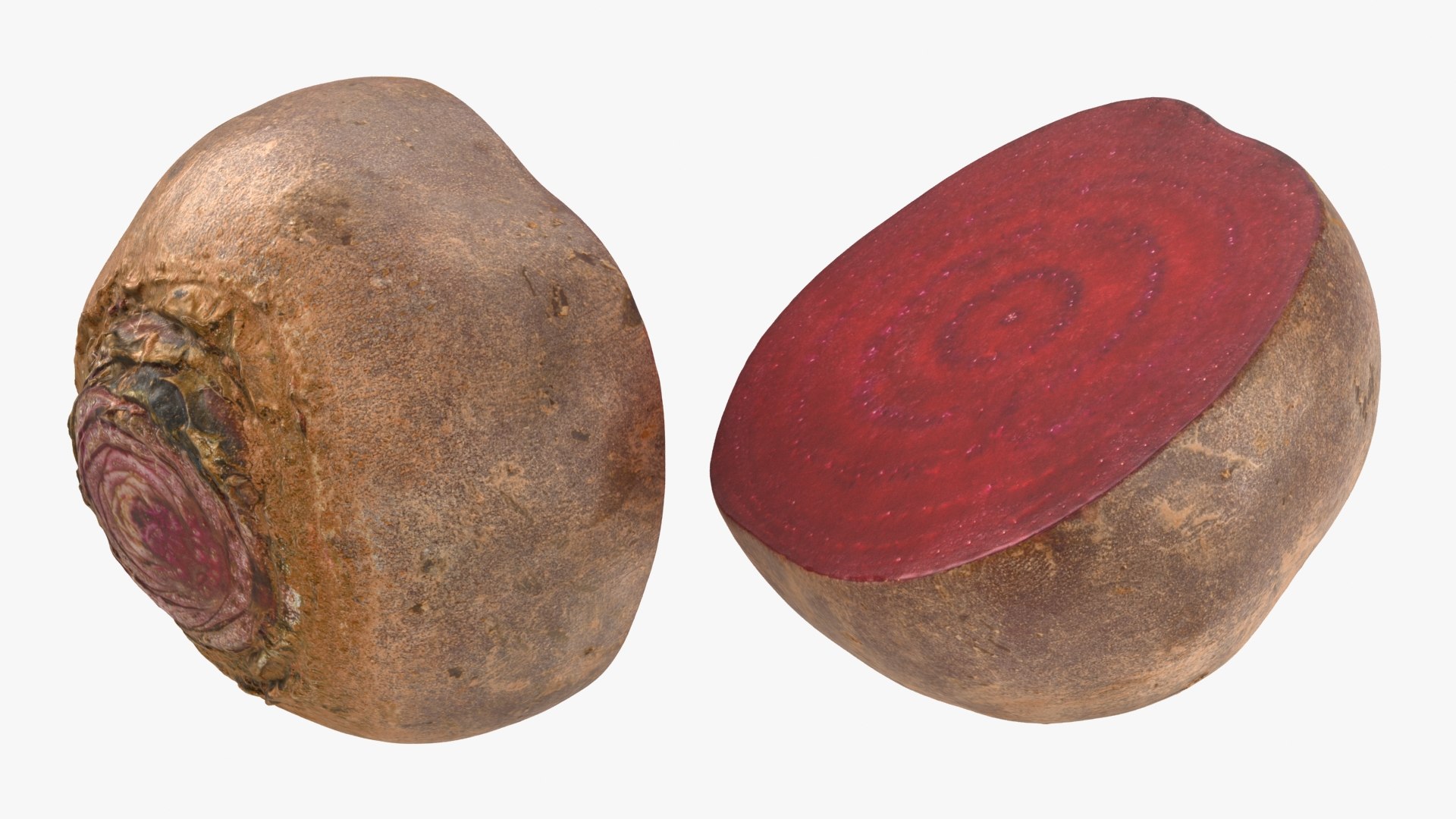 Beetroot Half 3D model - TurboSquid 1894032