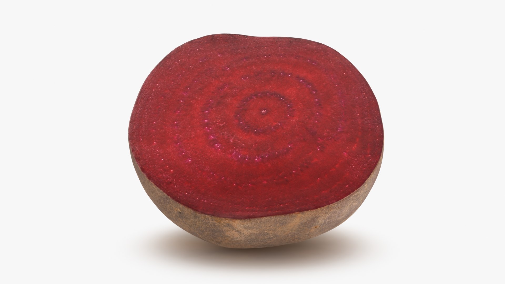 Beetroot Half 3D Model - TurboSquid 1894032