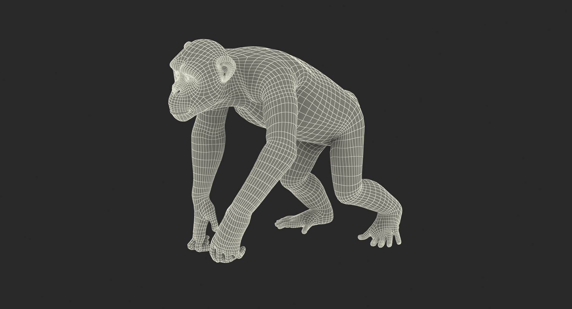 Walking Light Chimpanzee 3D - TurboSquid 1432255