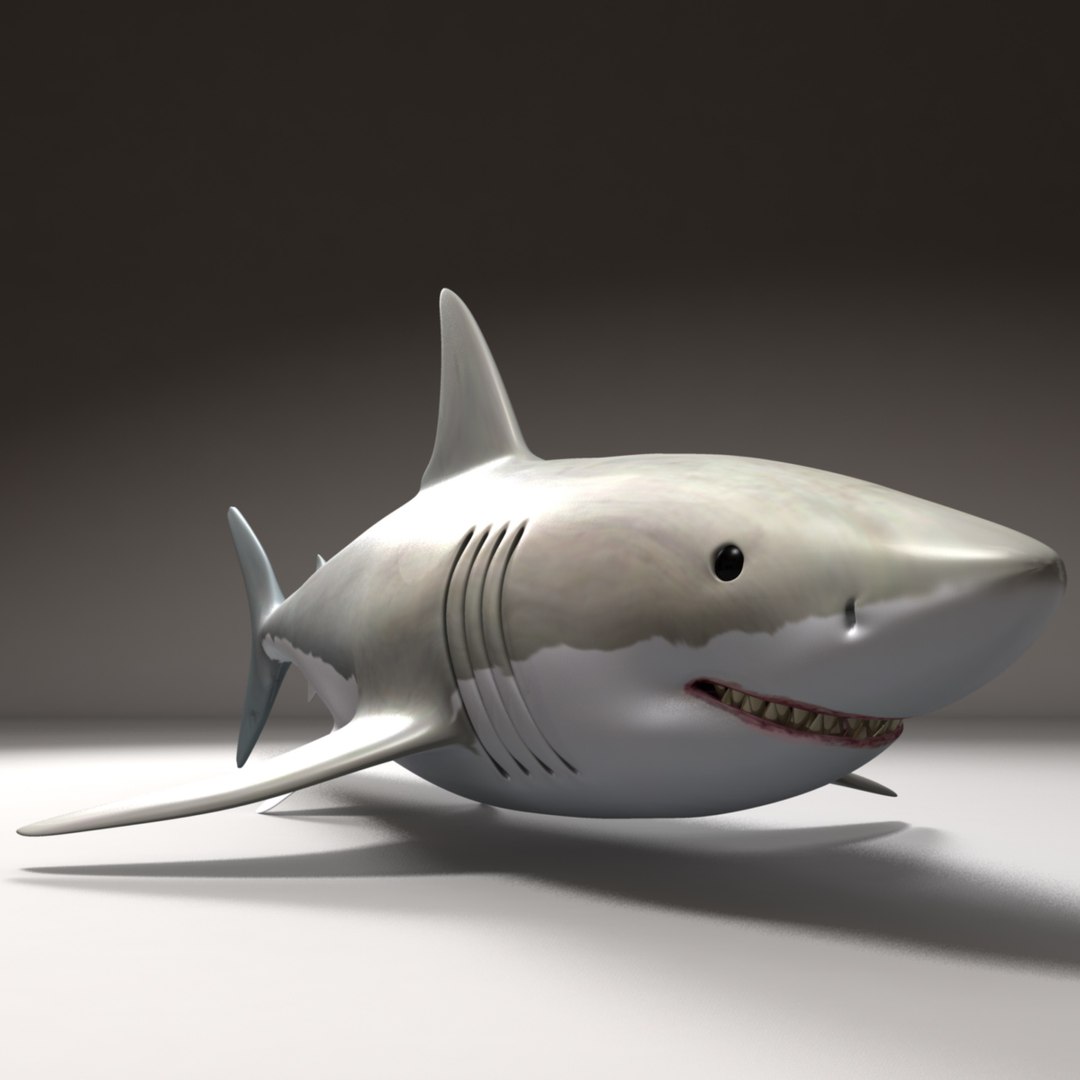 3d Shark
