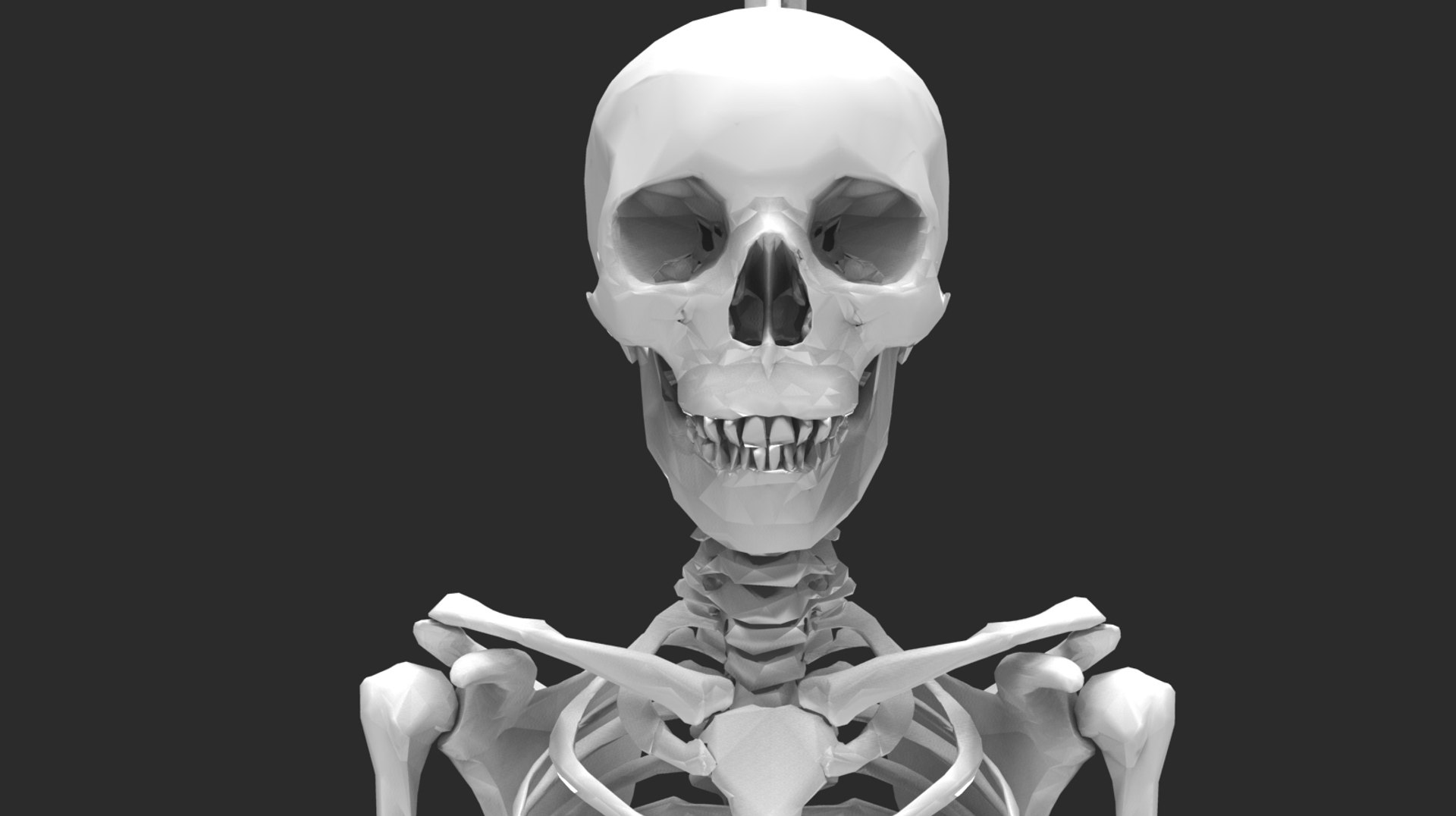 3d Skeleton
