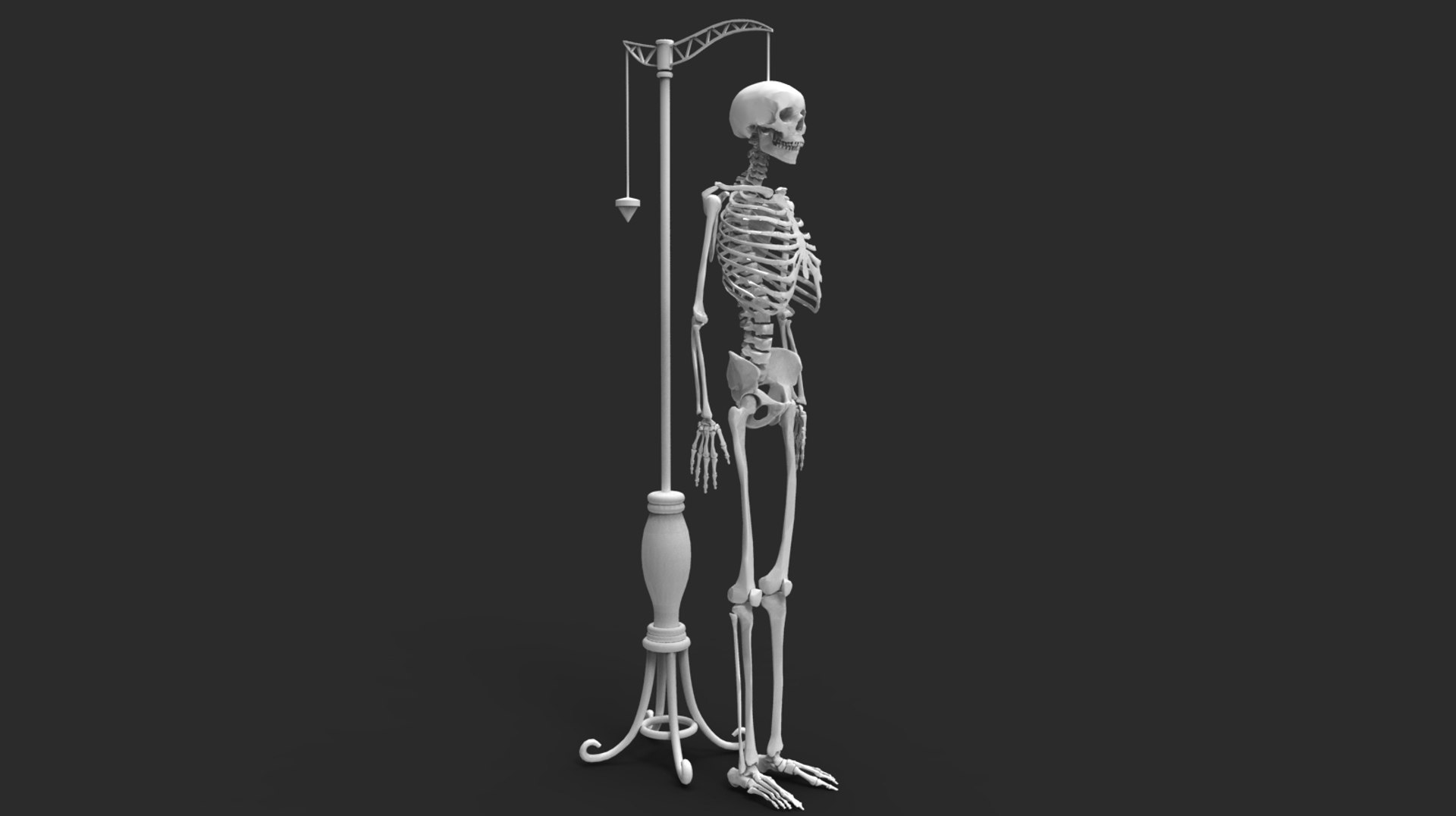 3d Skeleton