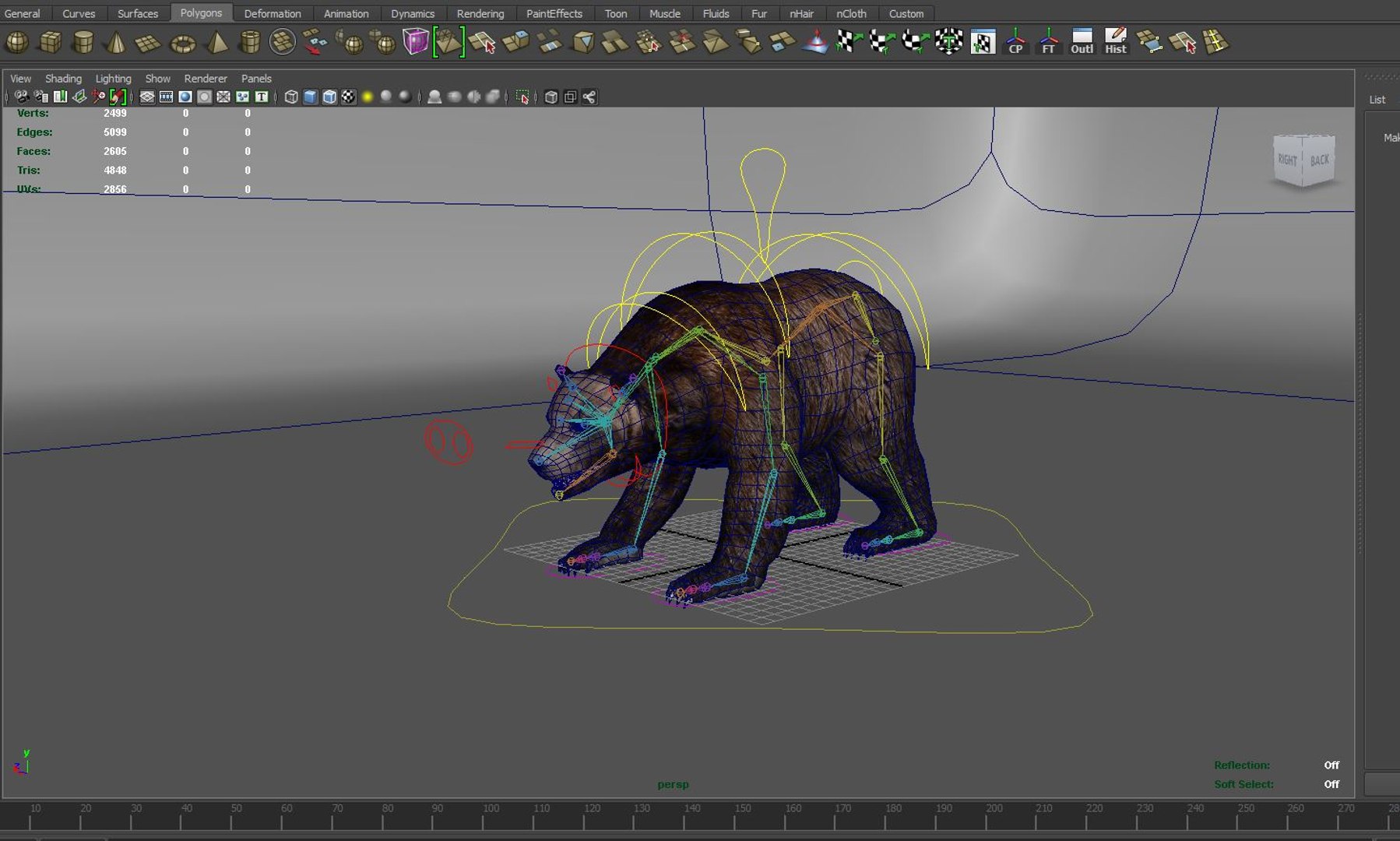 3D Bear Rigged Model - TurboSquid 1254490