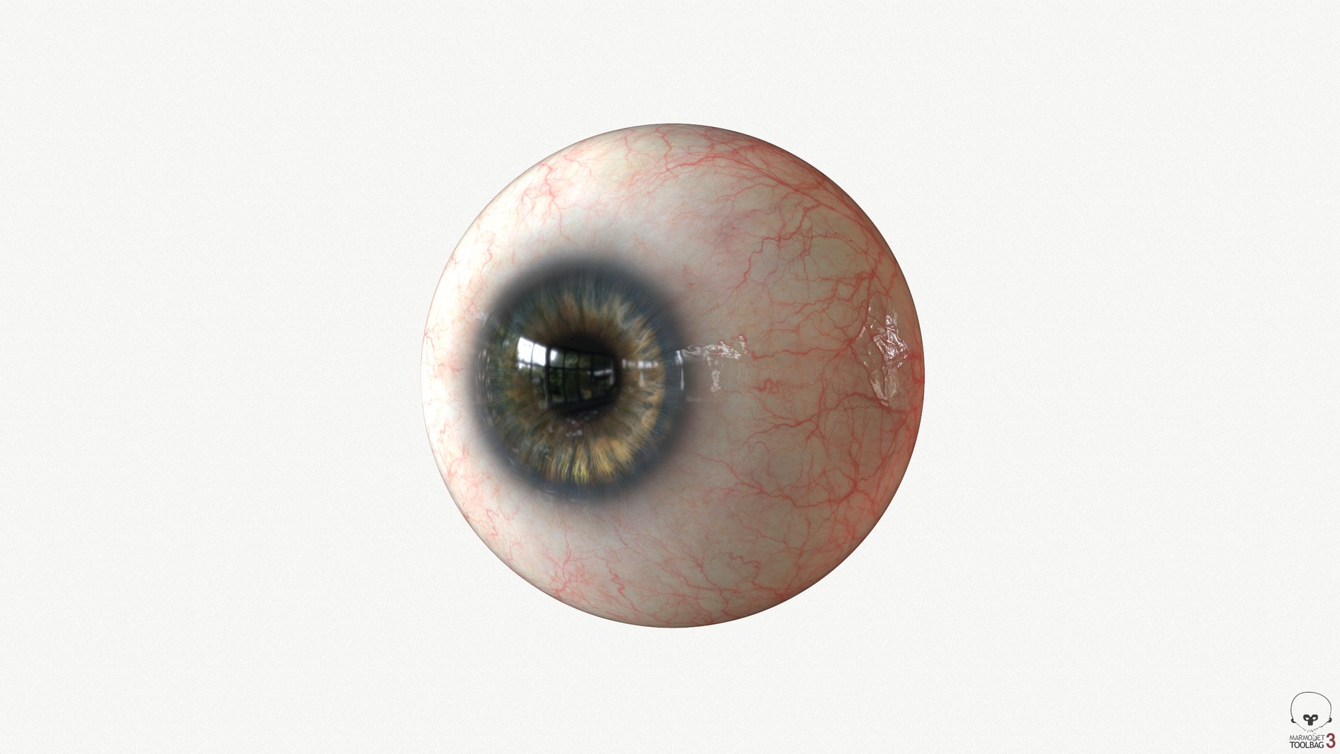 3D Model Eye Gray 1 Real-time 4k Texture Marmoset Toolbag3 Maya FBX OBJ ...