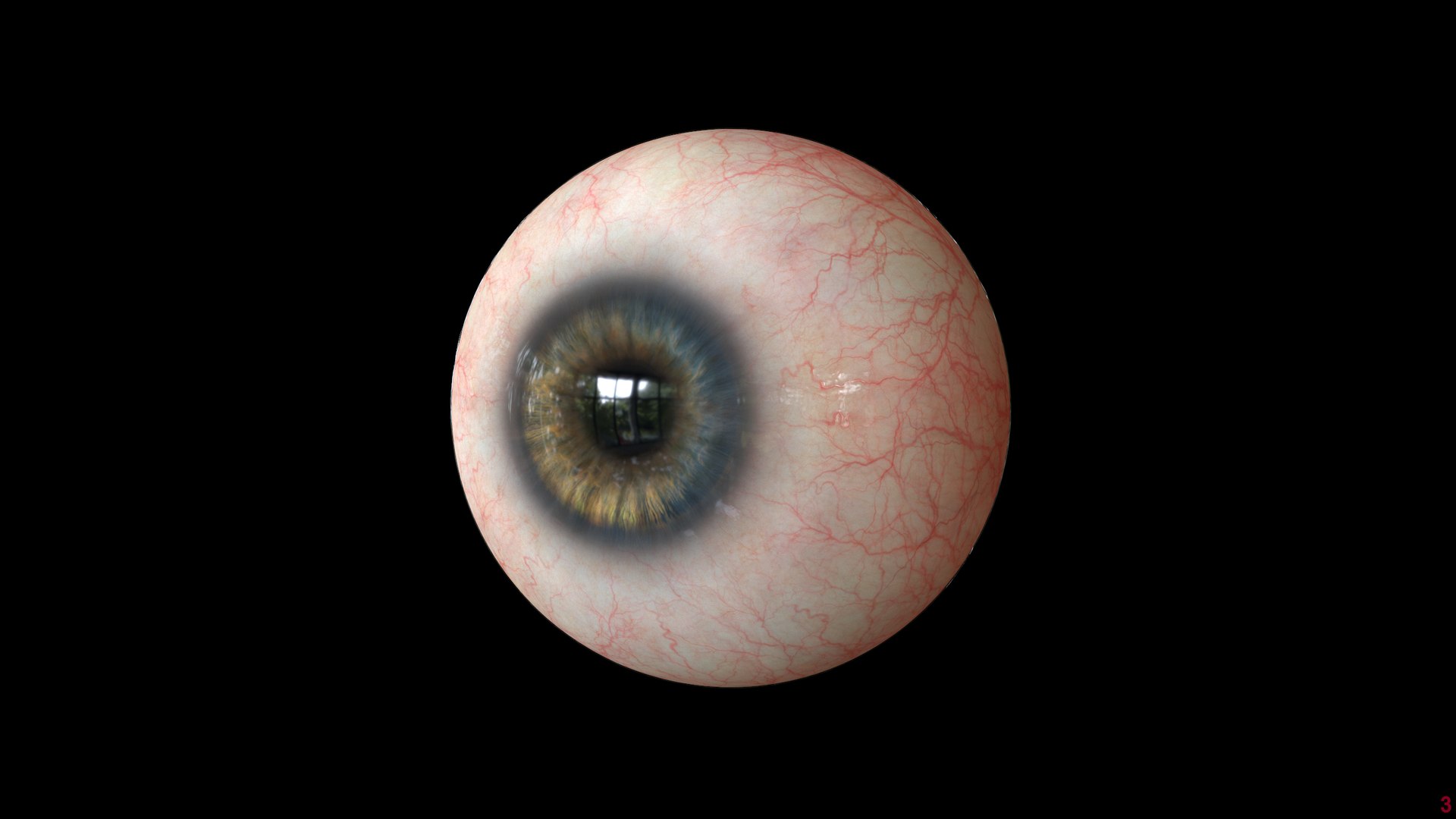 3D Model Eye Gray 1 Real-time 4k Texture Marmoset Toolbag3 Maya FBX OBJ ...